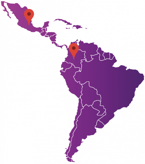 Optimus Plus - Saludsa